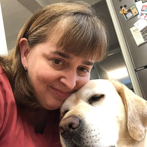 Mobile Vet In Greater Boston, MA | At Home Veterinary